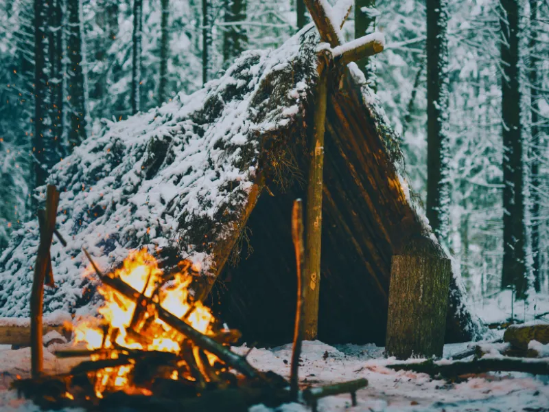 How to Build a Wilderness Survival Shelters in 2024