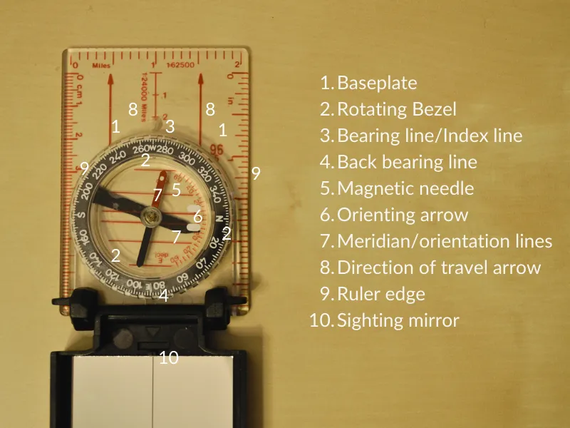 How to Use A Compass in 2024: Step by Step (with Pictures)