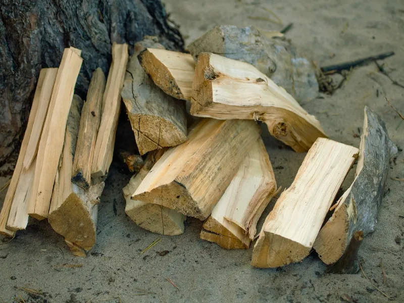 How to Build a Fire in 5 Steps