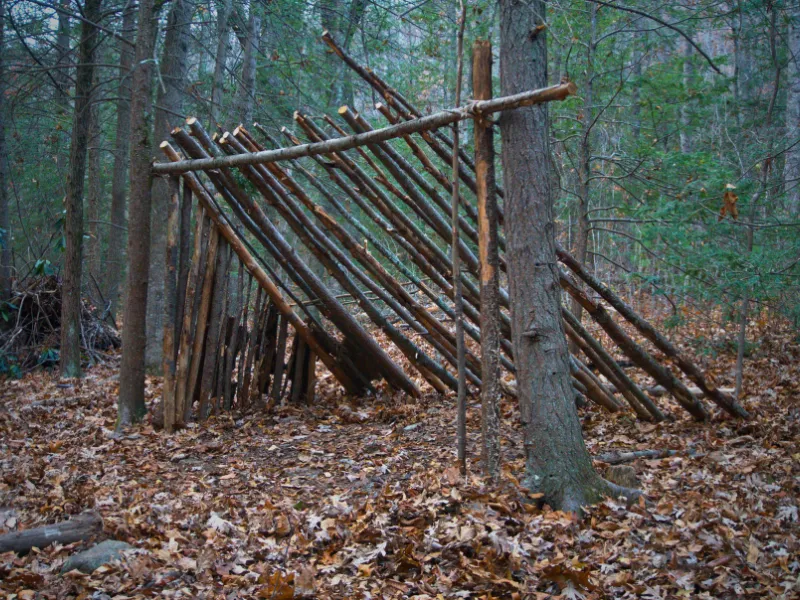 Survival Shelters Woods 5 Outdoor Shelters: How To Build Them To