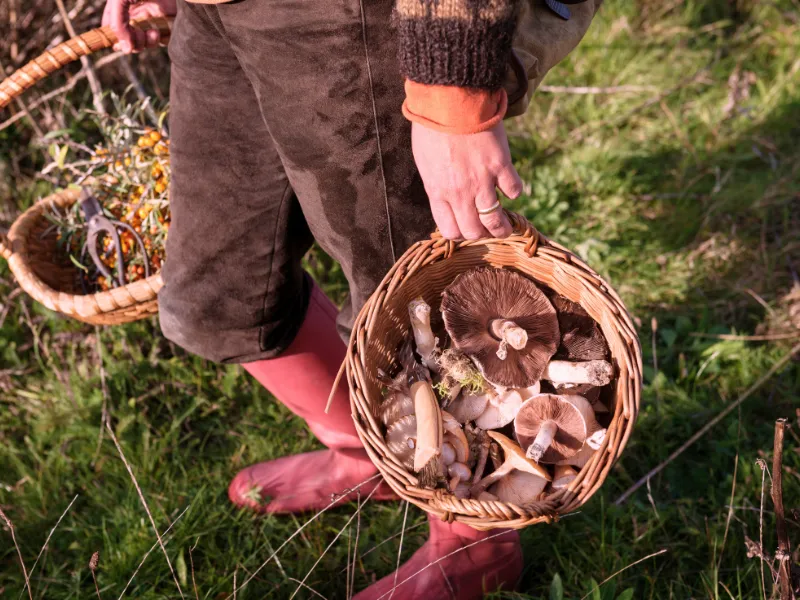 27 Fun Outdoor Camping Activities in 2024